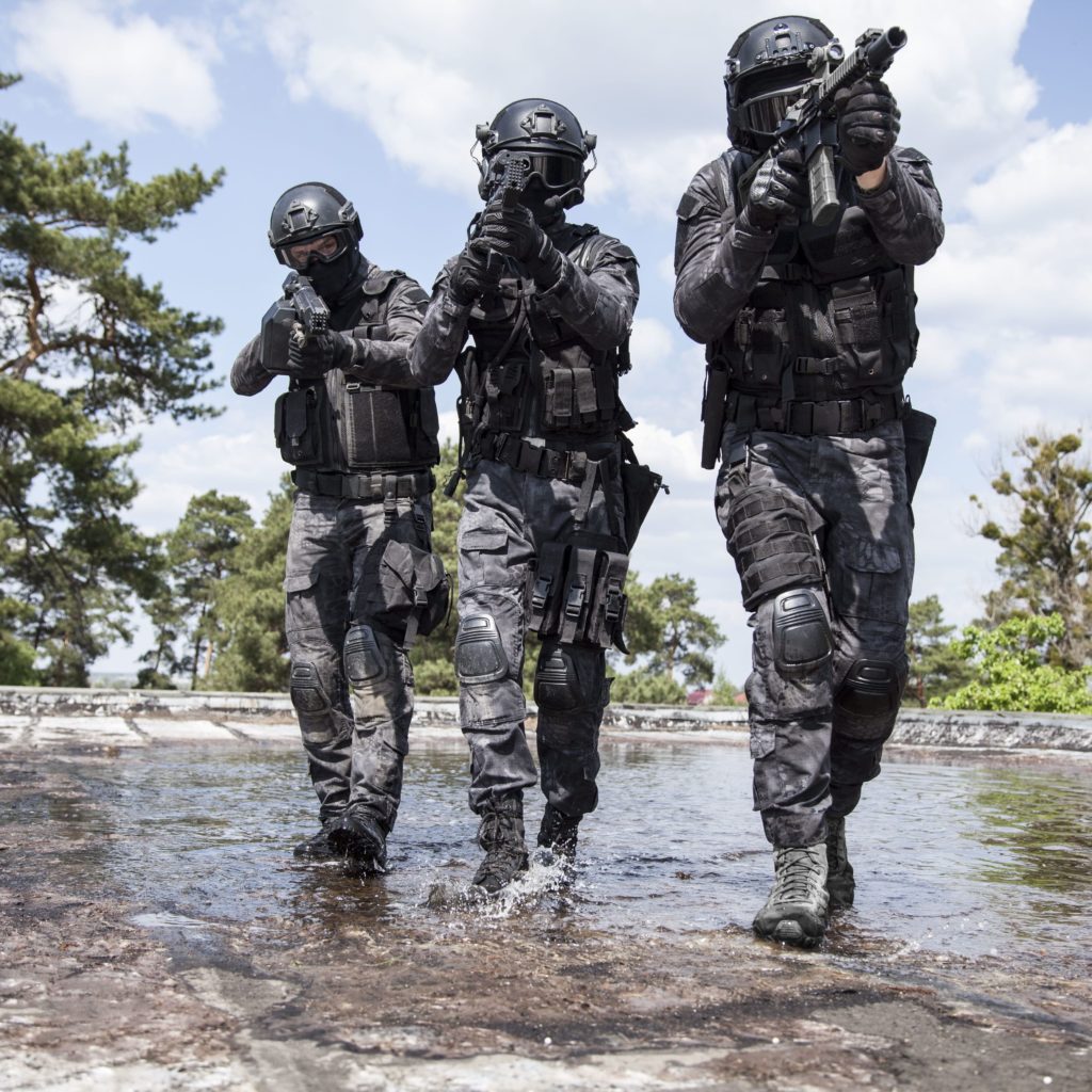 CGU: entenda a estrutura da instituição | Blog AlfaCon