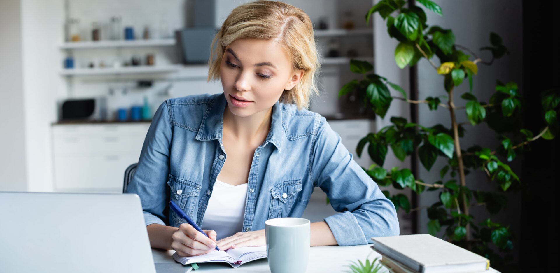 Guia completo de como estudar online | Blog do AlfaCon