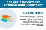 Morfossintaxe: o que é, dicas e exercícios para estudo! | Blog do AlfaCon